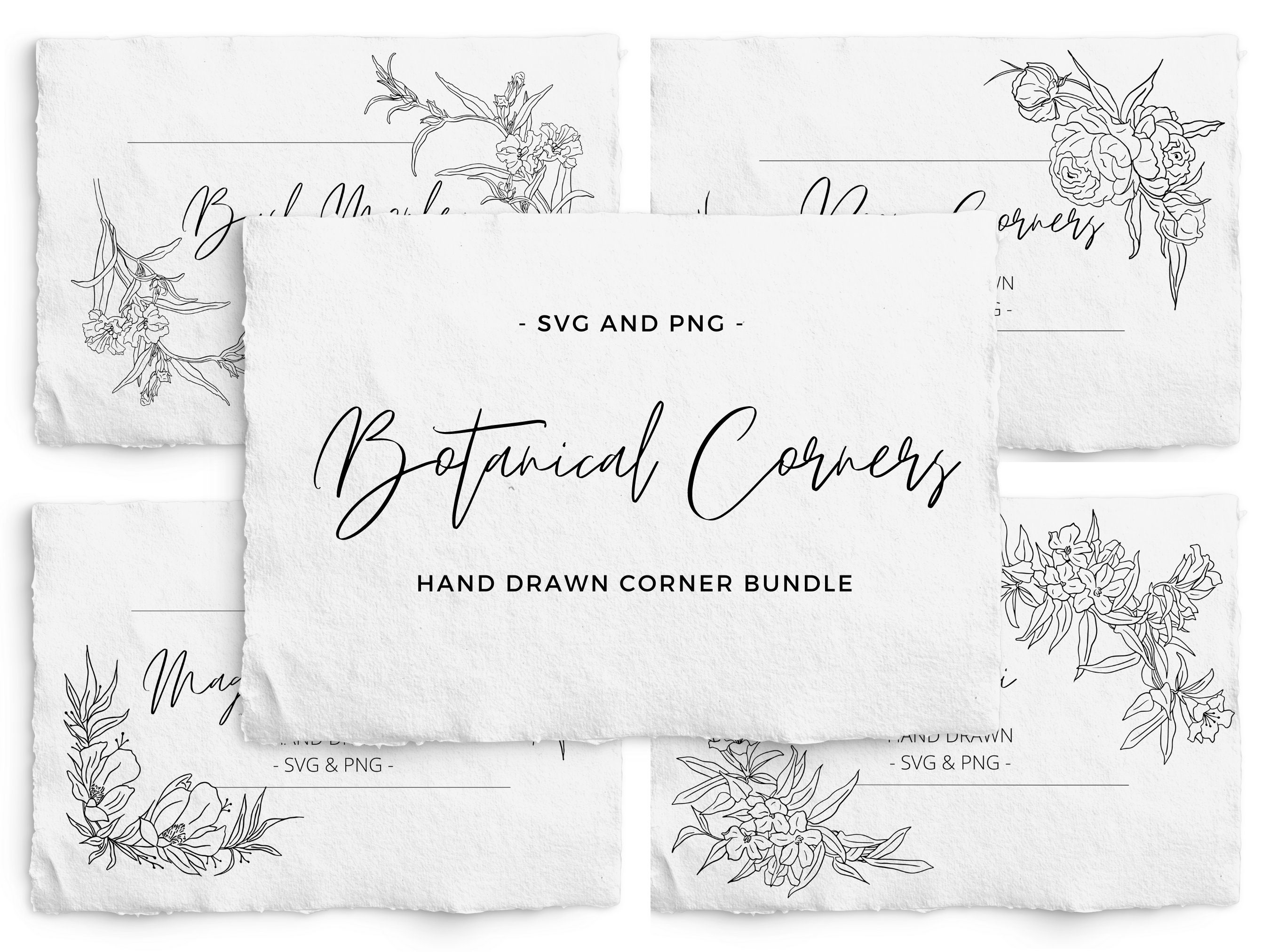Botanical Corner SVG Bundle 6 Corner Floral Designs PNG and - Etsy