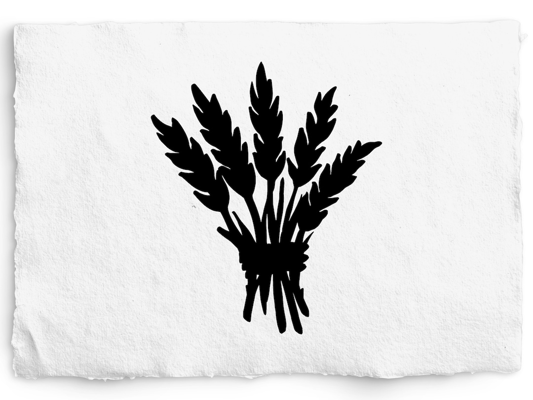 Wheat Sheaves SVG, Wheat Silhouette SVG Graphic, Wheat Outline Vector ...