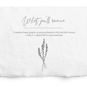 Heather SVG, Heather Flower PNG Digi Stamp, Vintage Botanical Line Art ...