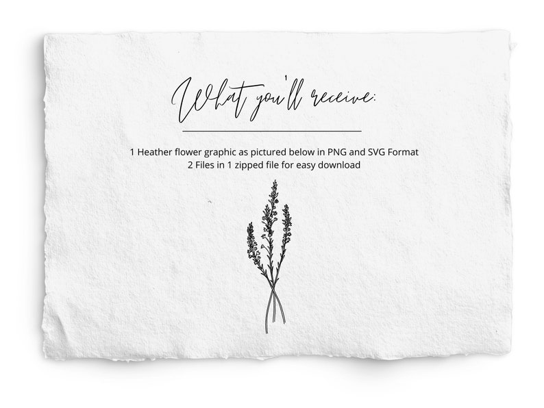 Heather SVG Heather Flower PNG Digi Stamp Vintage Botanical - Etsy