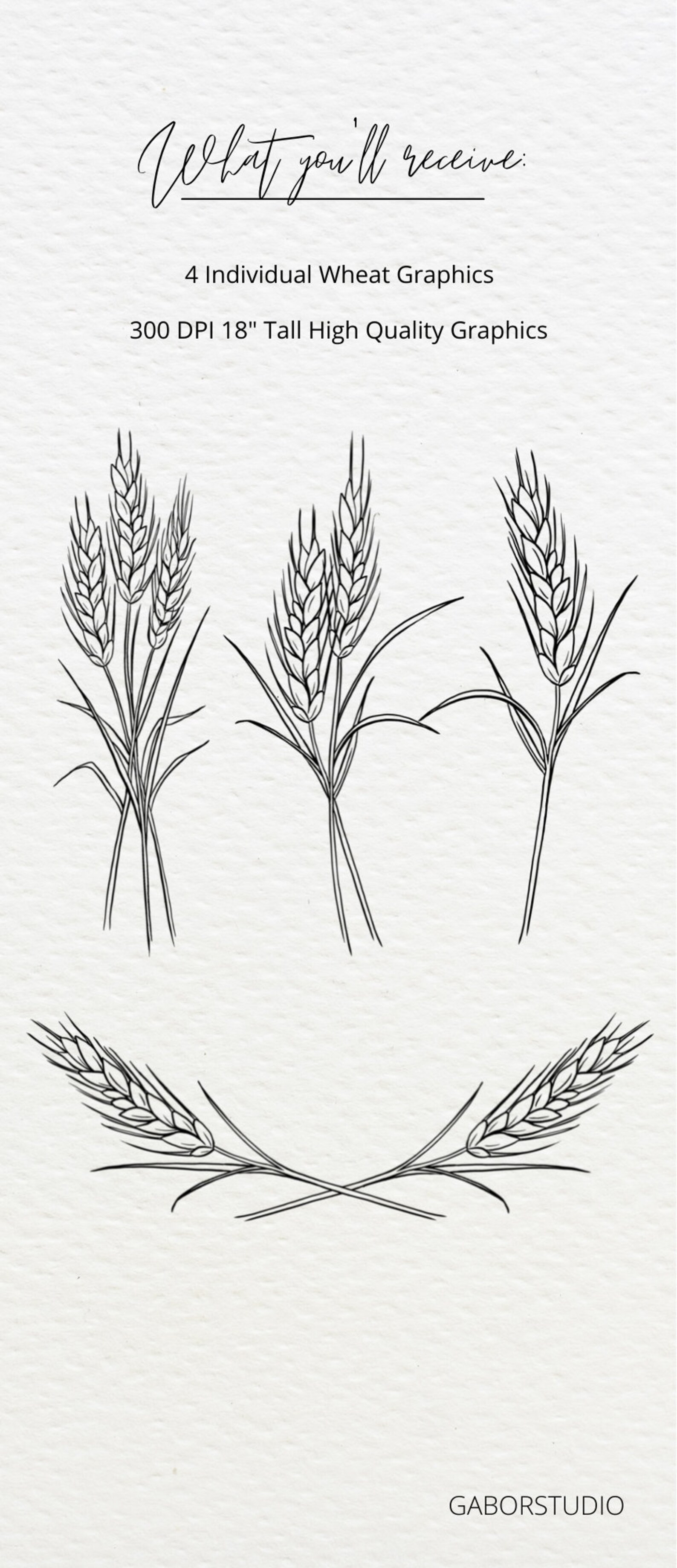 Wheat Bundle SVG 4 Individual Wheat Elements Harvest Wheat | Etsy Canada