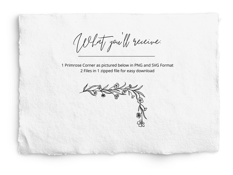 Primrose Corner Frame SVG Botanical Frame for Engraving - Etsy