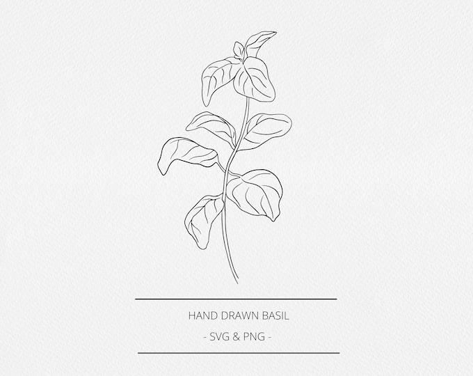 Basil SVG Clip Art, Commercial Use, Basil Plant Vector Illustration ...