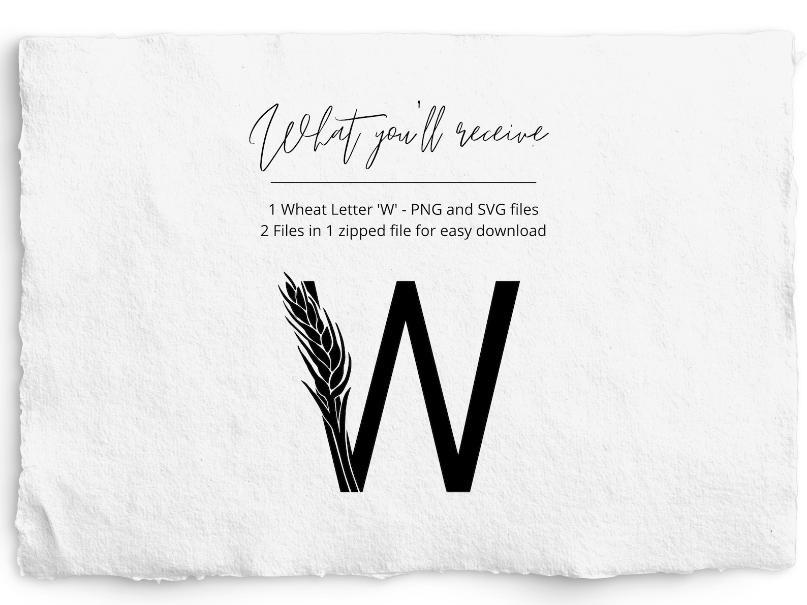 Wheat W SVG Graphic, Hand Drawn Letter W Monogram, Logo Design, Solid ...