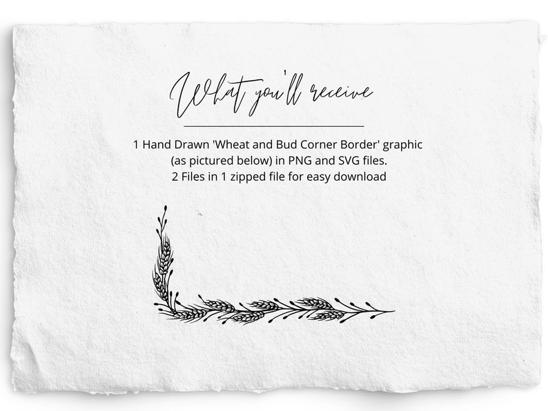 Wheat and Bud Corner Border Frame SVG, Harvest SVG Border, Engraving ...