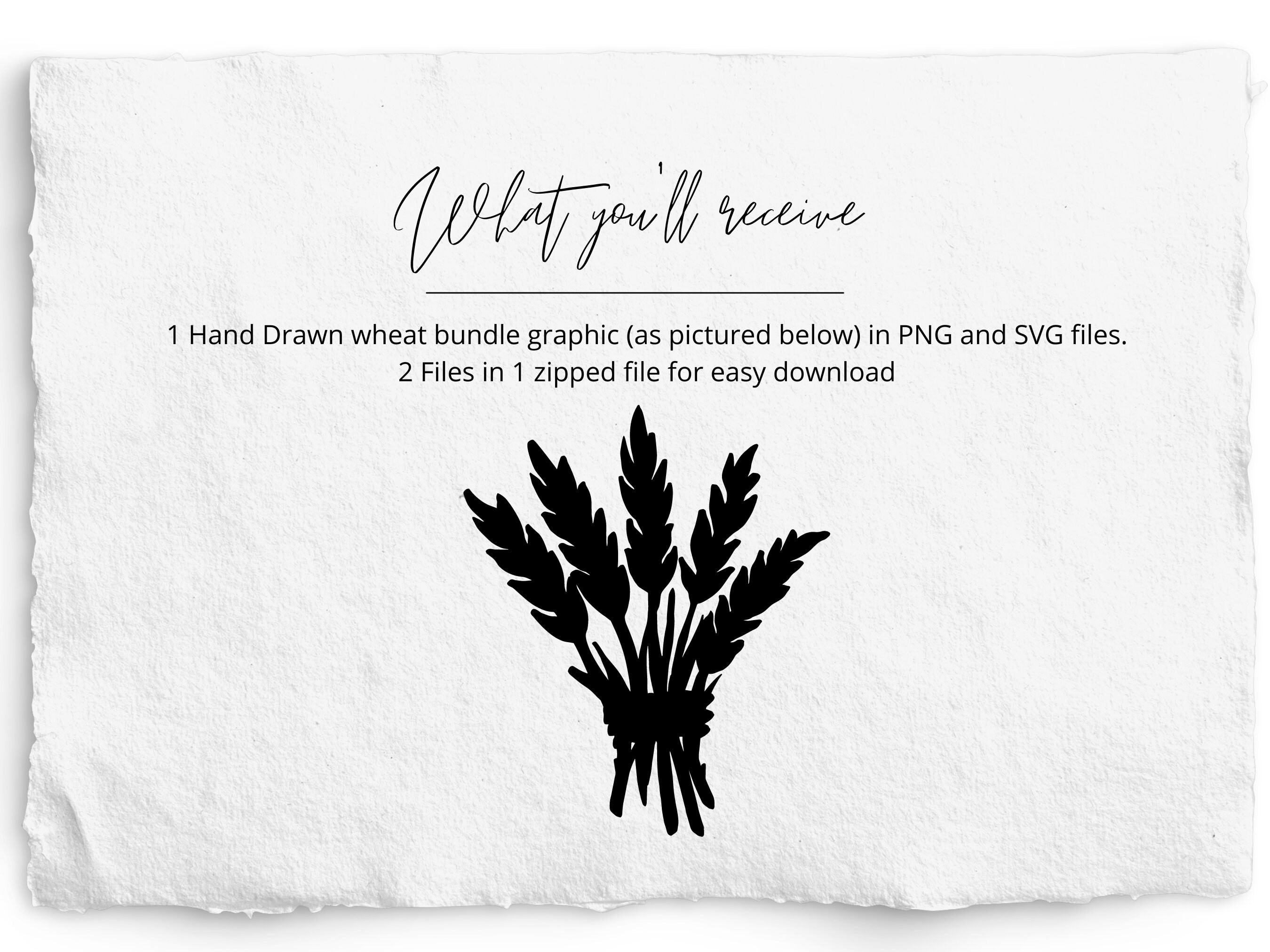 Wheat Sheaves SVG, Wheat Silhouette SVG Graphic, Wheat Outline Vector ...