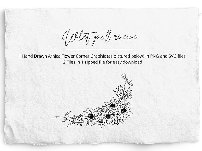 Daisy Corner Frame SVG Laser Engraving Arnica Flower Frame - Etsy Canada