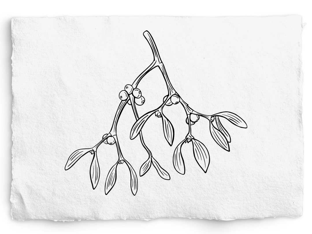 Mistletoe SVG, Hand Drawn Botanical Graphic, Christmas Drawing, Laser ...