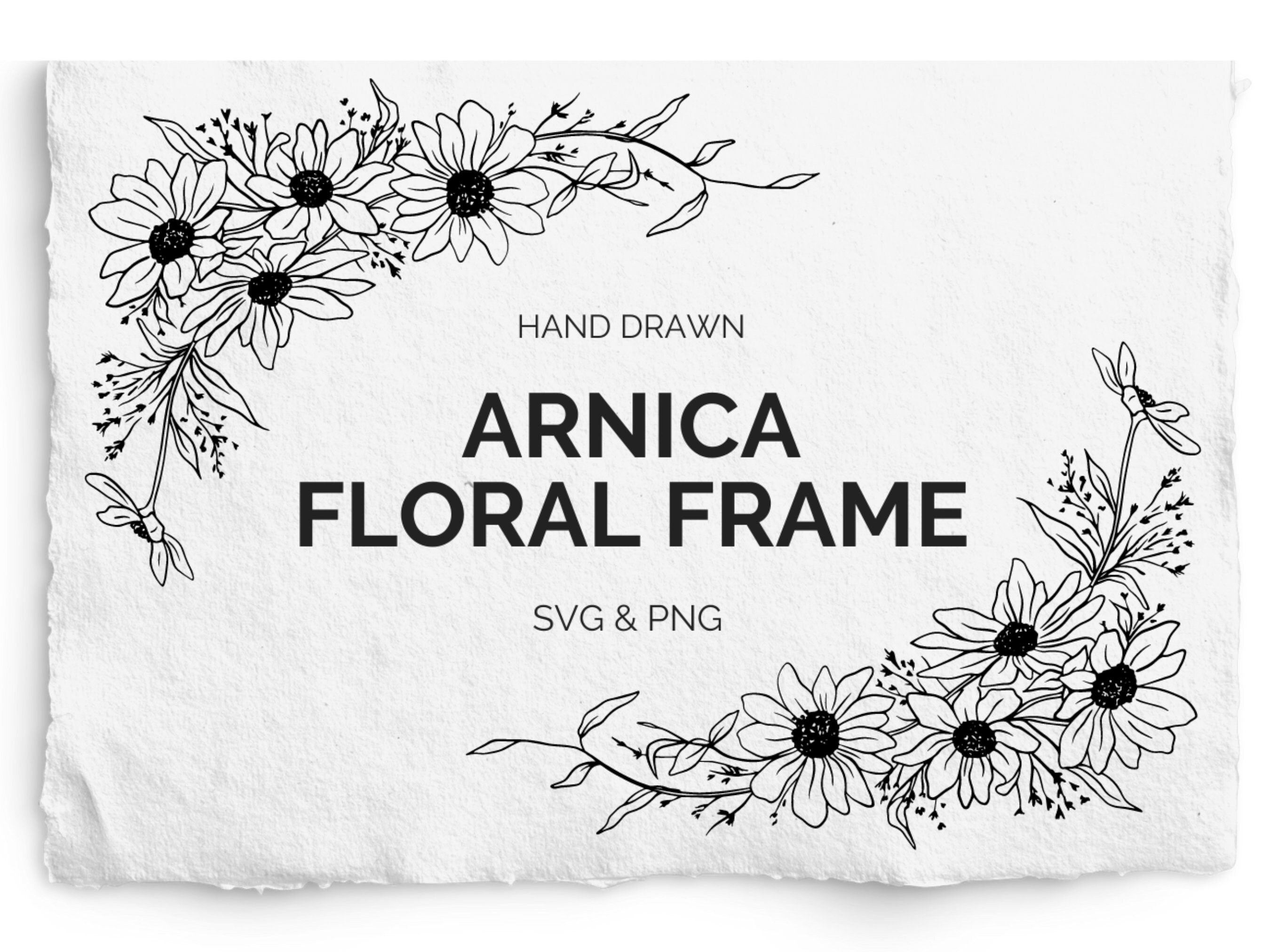 Daisy Corner Frame SVG, Laser Engraving, Arnica Flower Frame, South ...