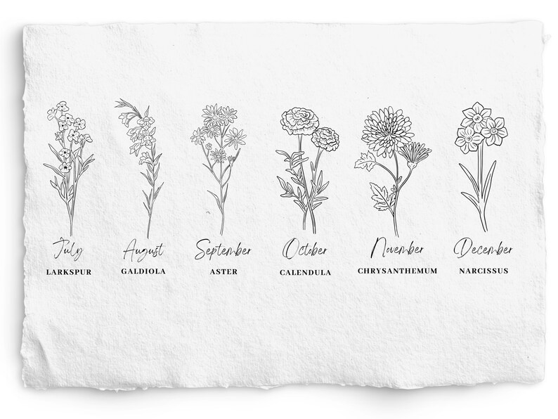 Birth Month Flower SVG and PNG Bundle, Hand Drawn Flower Bundle, Flower ...