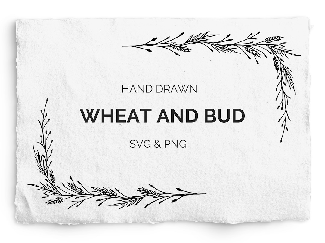 Wheat Corner Frame SVG, Hand Drawn Harvest Border SVG, Thanksgiving ...