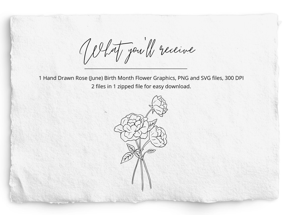 Rose SVG June Birth Month Flower SVG Birthday Flower Hand - Etsy Canada