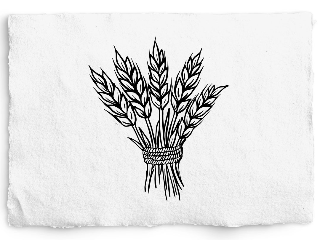 Wheat Bundle SVG Graphic, Wheat Outline Vector Image, Wheat Sheaves ...