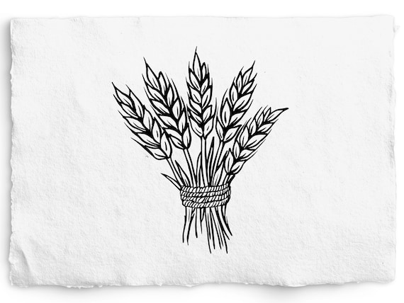 Wheat Stalk Outline