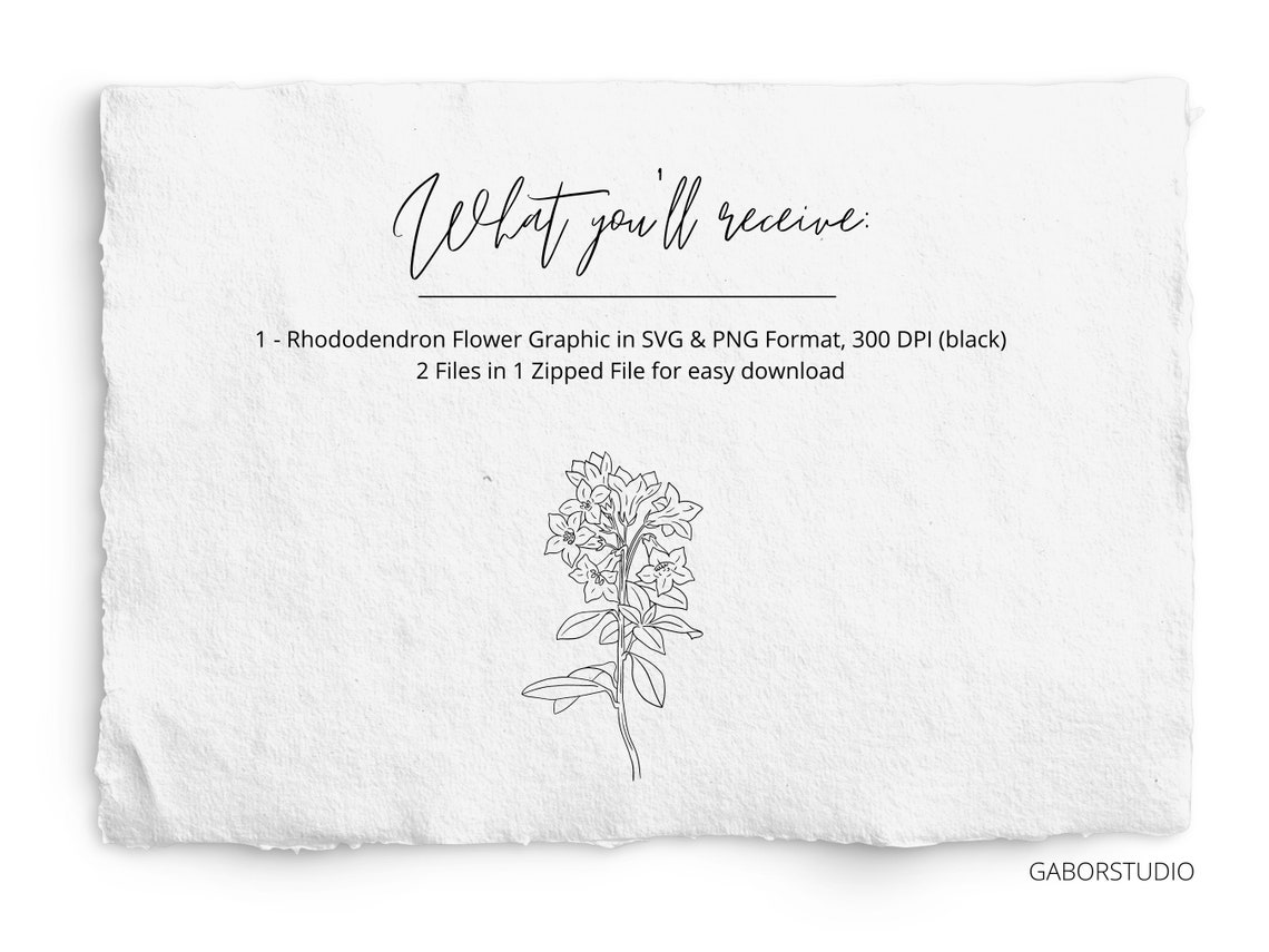 Rhododendron SVG Single Stem Rhododendron Flower Digi Stamp | Etsy