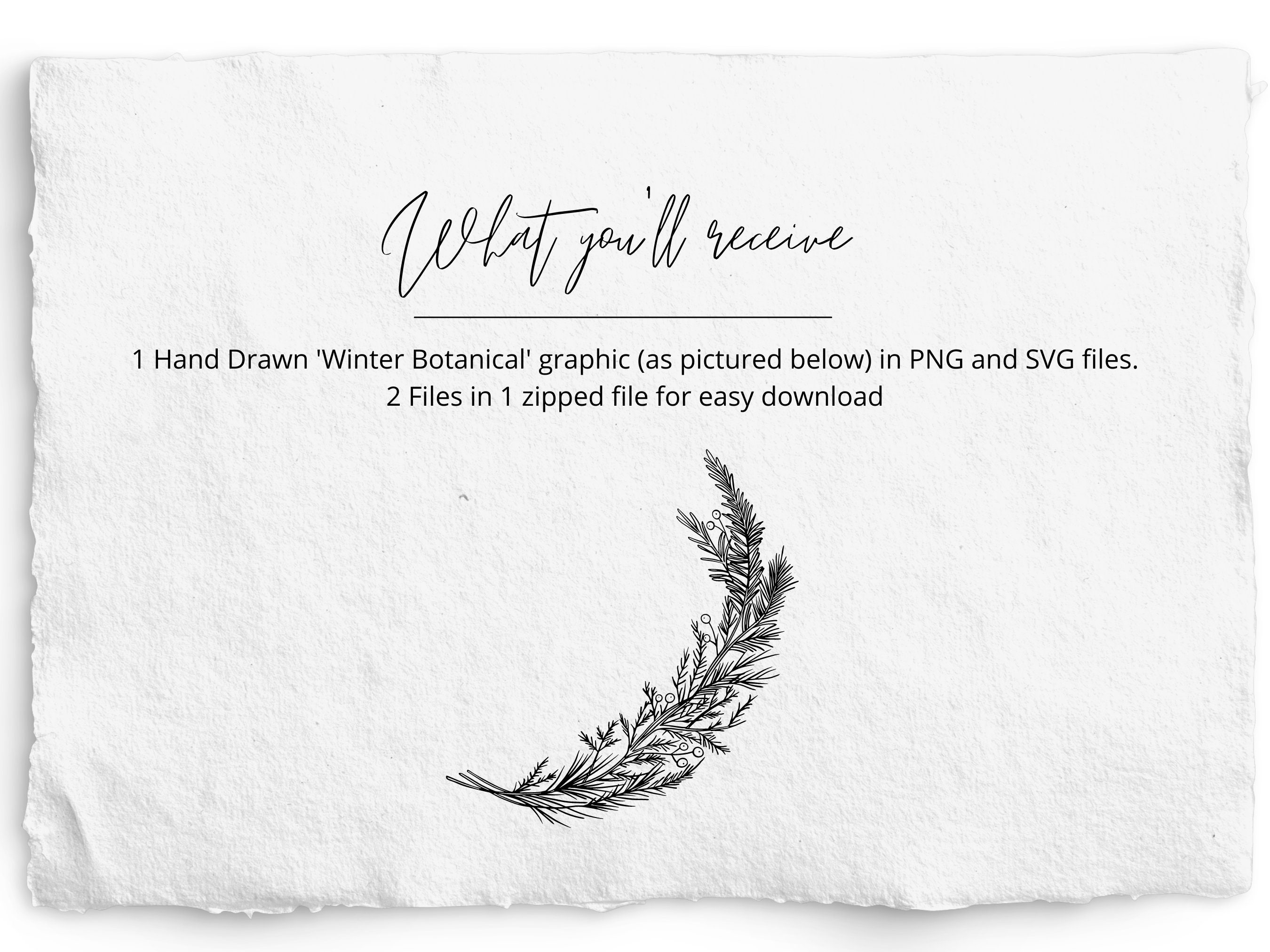 Winter Botanical Half Circle SVG, PNG, Laser Engraving, Gift Tag Making ...