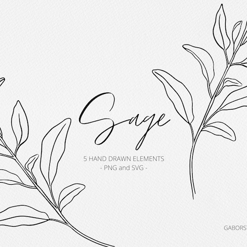 Sage Leaf Elements SVG and PNG Botanical Hand Drawn - Etsy