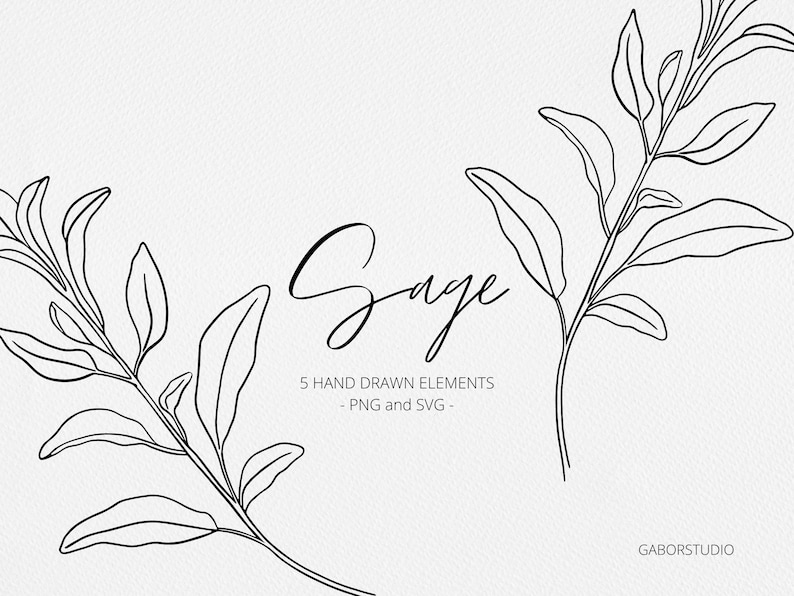 Sage Leaf Elements SVG and PNG, Botanical Hand Drawn Apothecary ...