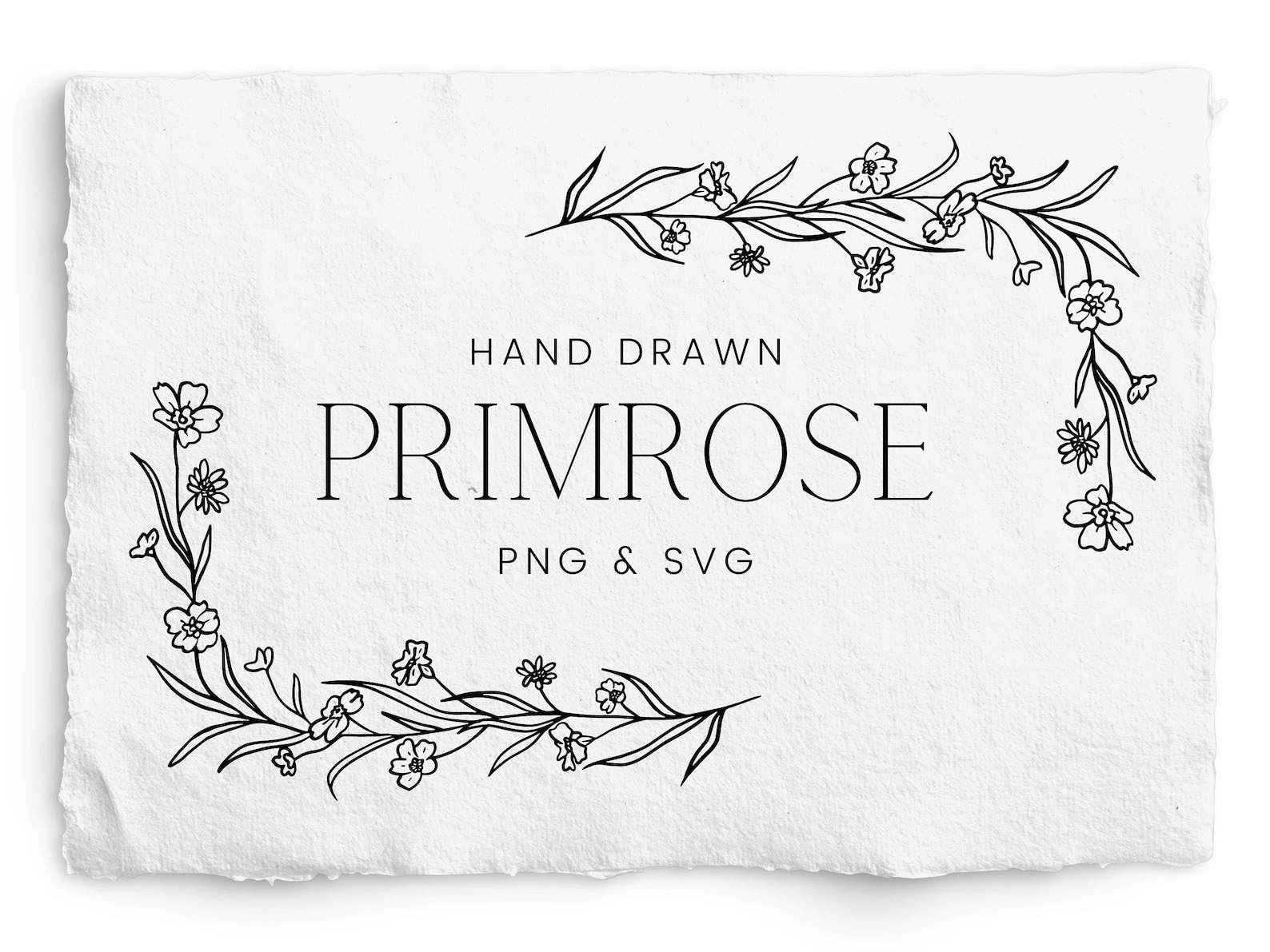 Primrose Corner Frame SVG Botanical Frame for Engraving - Etsy