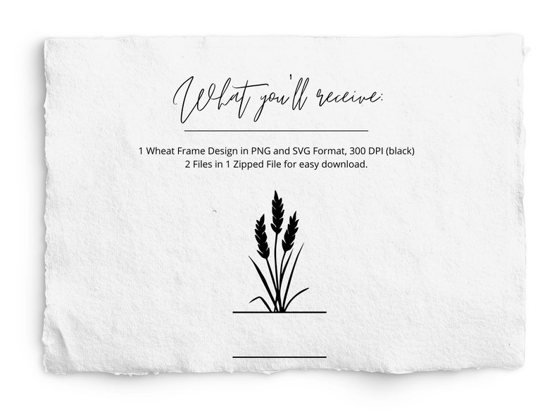 Wheat Frame SVG, Wheat Frame Graphic, Harvest Wheat PNG, Thanksgiving ...