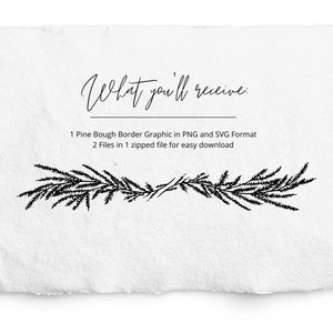 Pine Bough Border SVG, Botanical Hand Drawn PNG, Holiday Frame ...