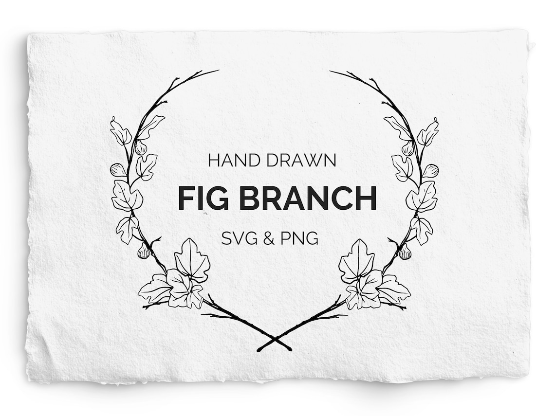 Fig Branch SVG Half Wreath Fig Leaves Hand Drawn Botanical - Etsy