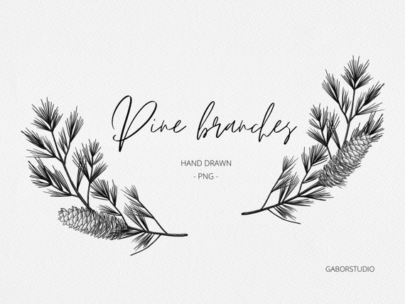 Pine Cone Branches PNG Botanical Hand Drawn Winter Elements - Etsy Canada