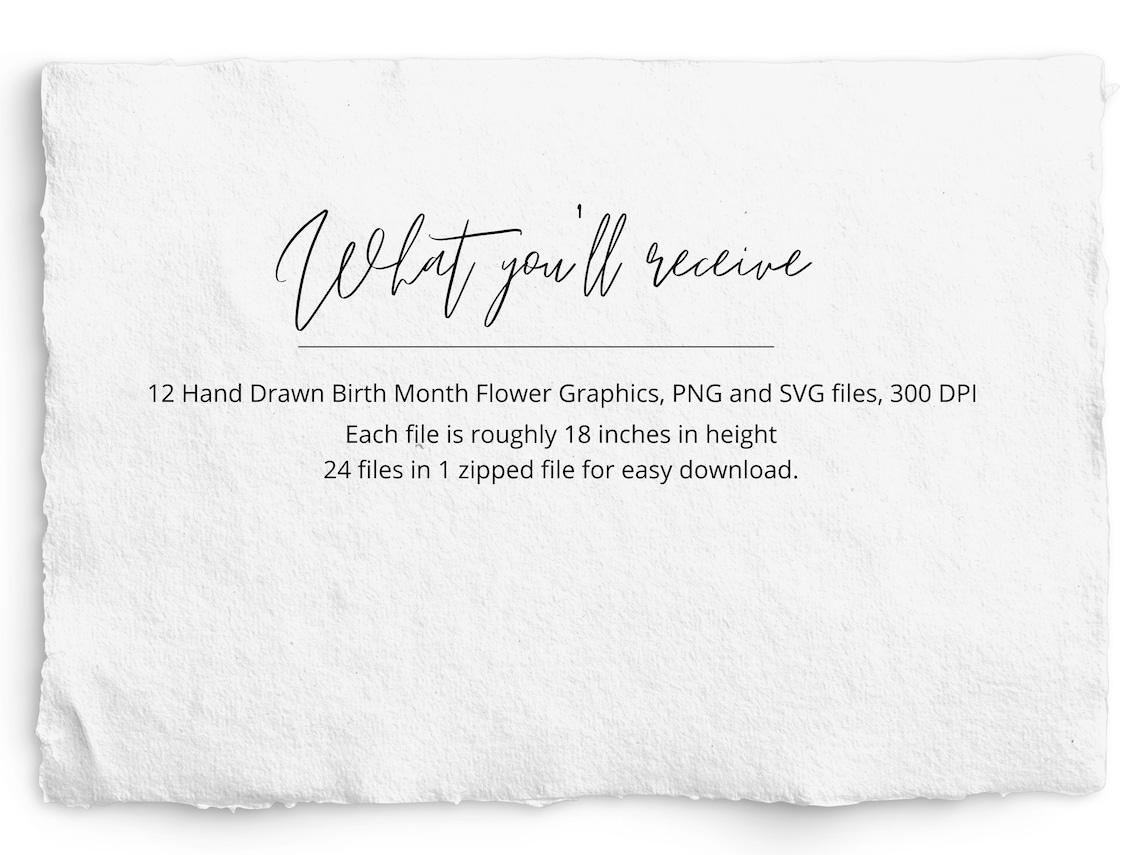 Birth Month Flower SVG and PNG Bundle, Hand Drawn Flower Bundle, Flower ...