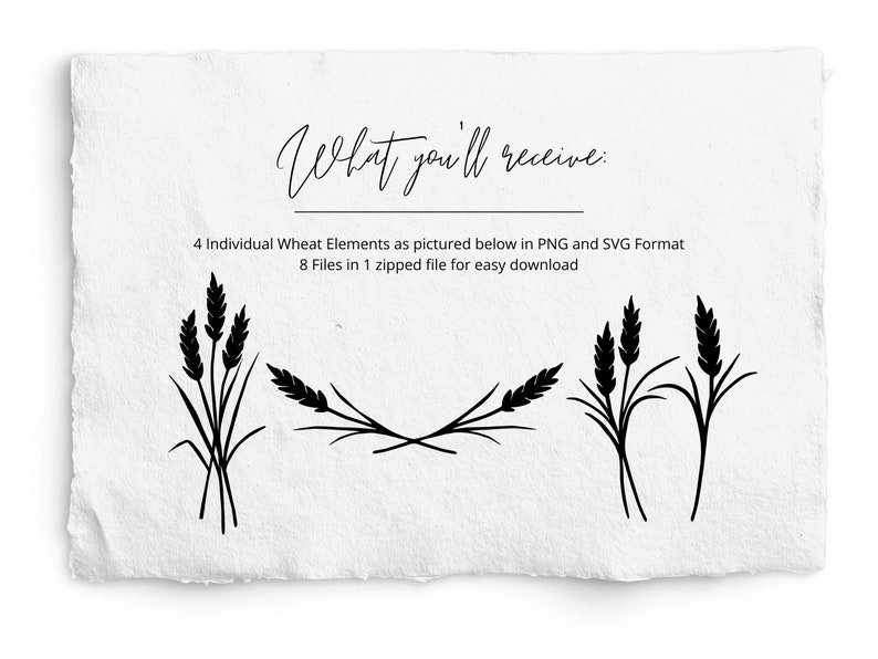 Wheat Bundle SVG, Solid Fill Wheat Designs, Individual Wheat Stamp ...