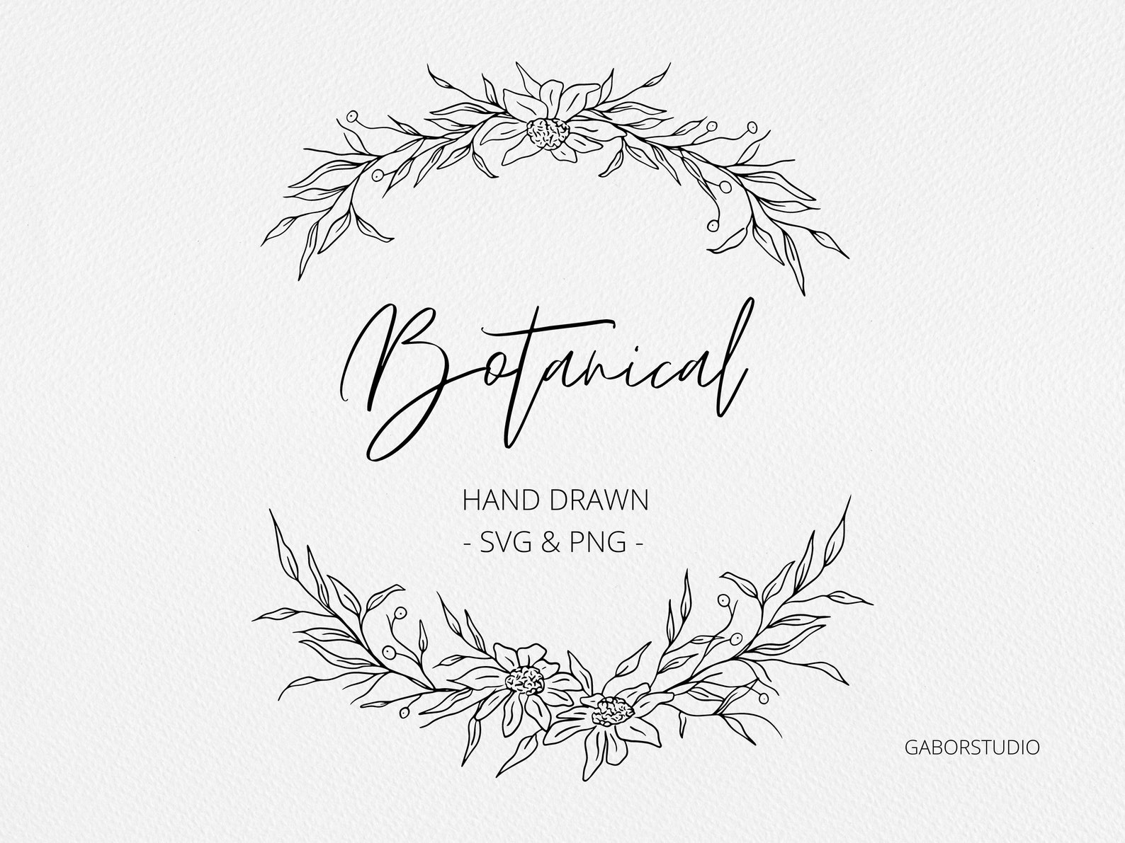 Botanical Wild Flower Circle Frame SVG Hand Drawn Floral - Etsy