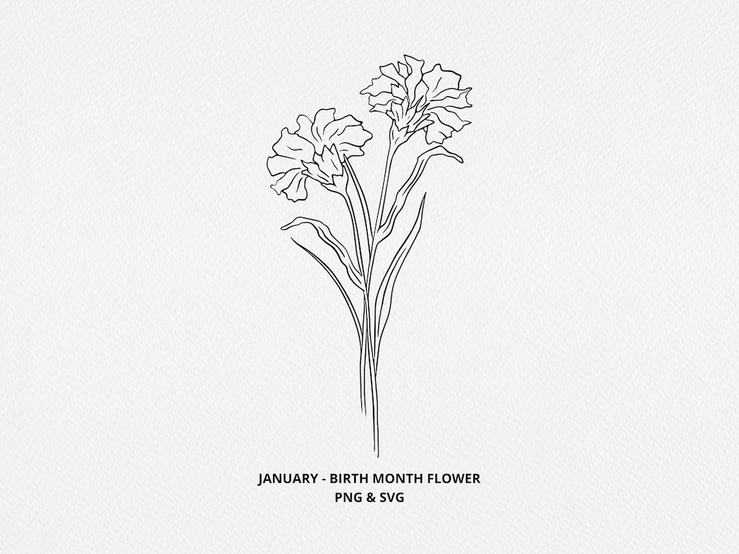 Birth Month Flowers SVG - January - Birthday Flower Png, Carnation ...