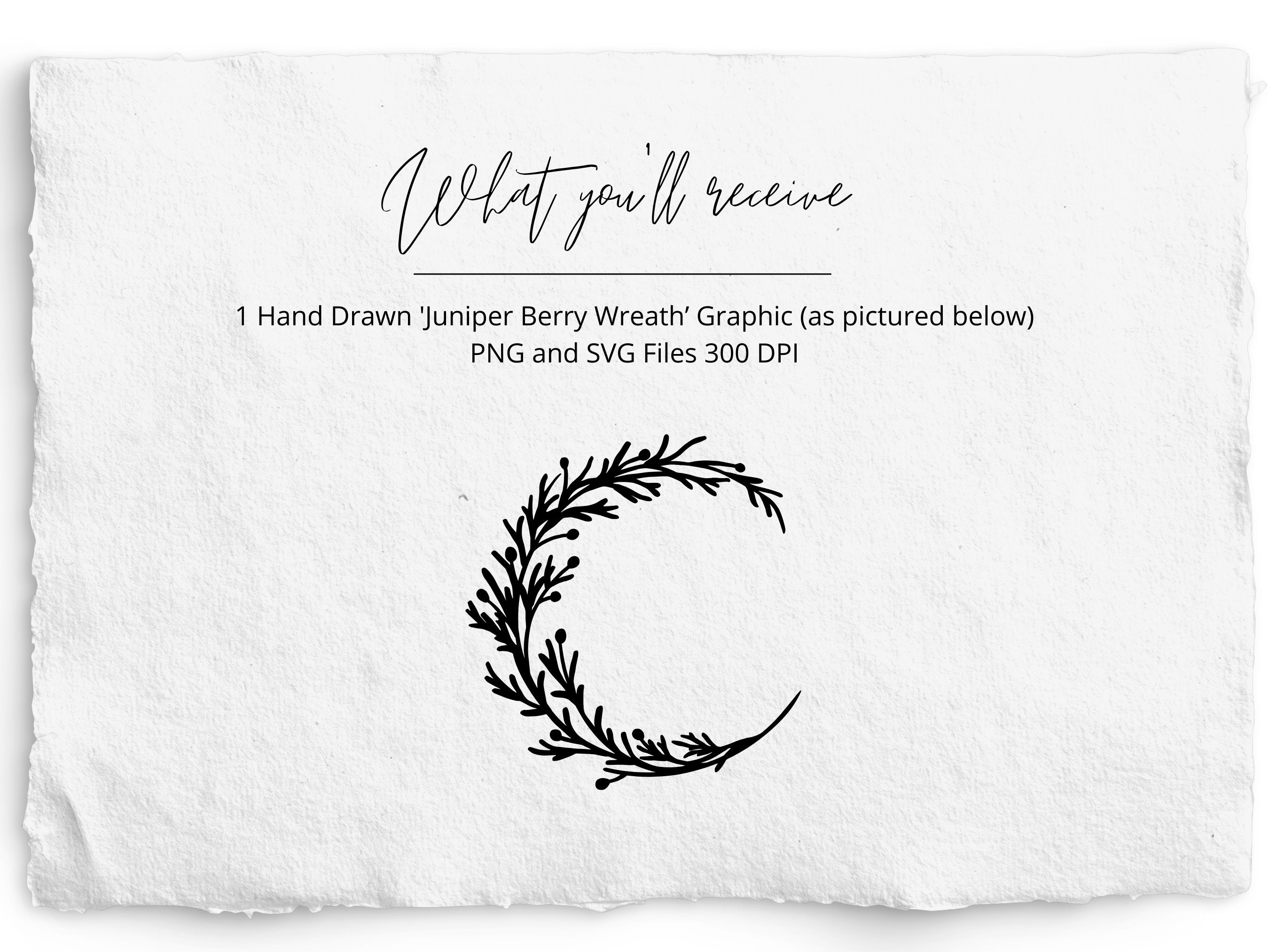 Juniper Wreath SVG, Engraving, Glowforge, Cricut Cut, Hand Drawn ...