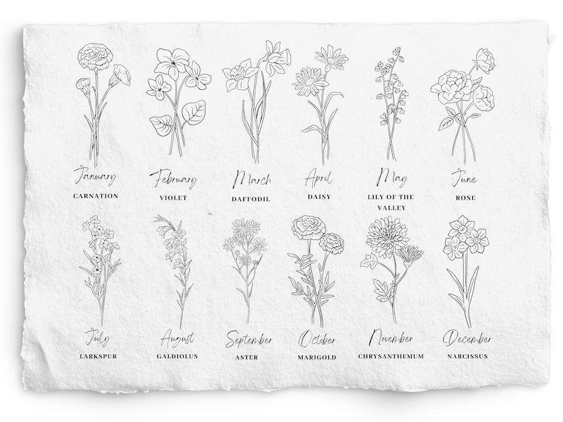 Birth Month Flower SVG and PNG Bundle, Hand Drawn Flower Bundle, Flower ...