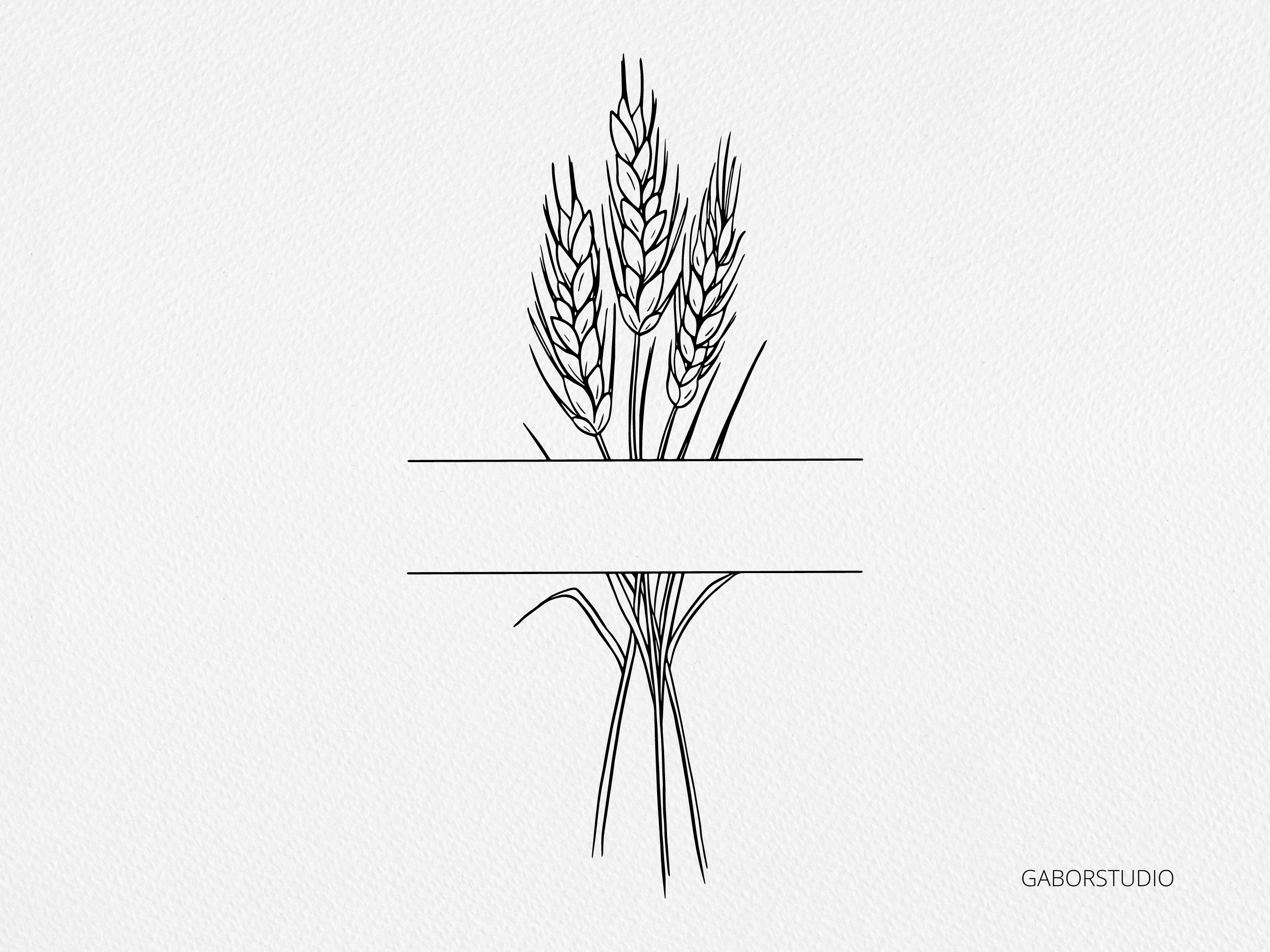 Wheat Split Frame SVG Wheat Frame Graphic Harvest Wheat PNG - Etsy ...