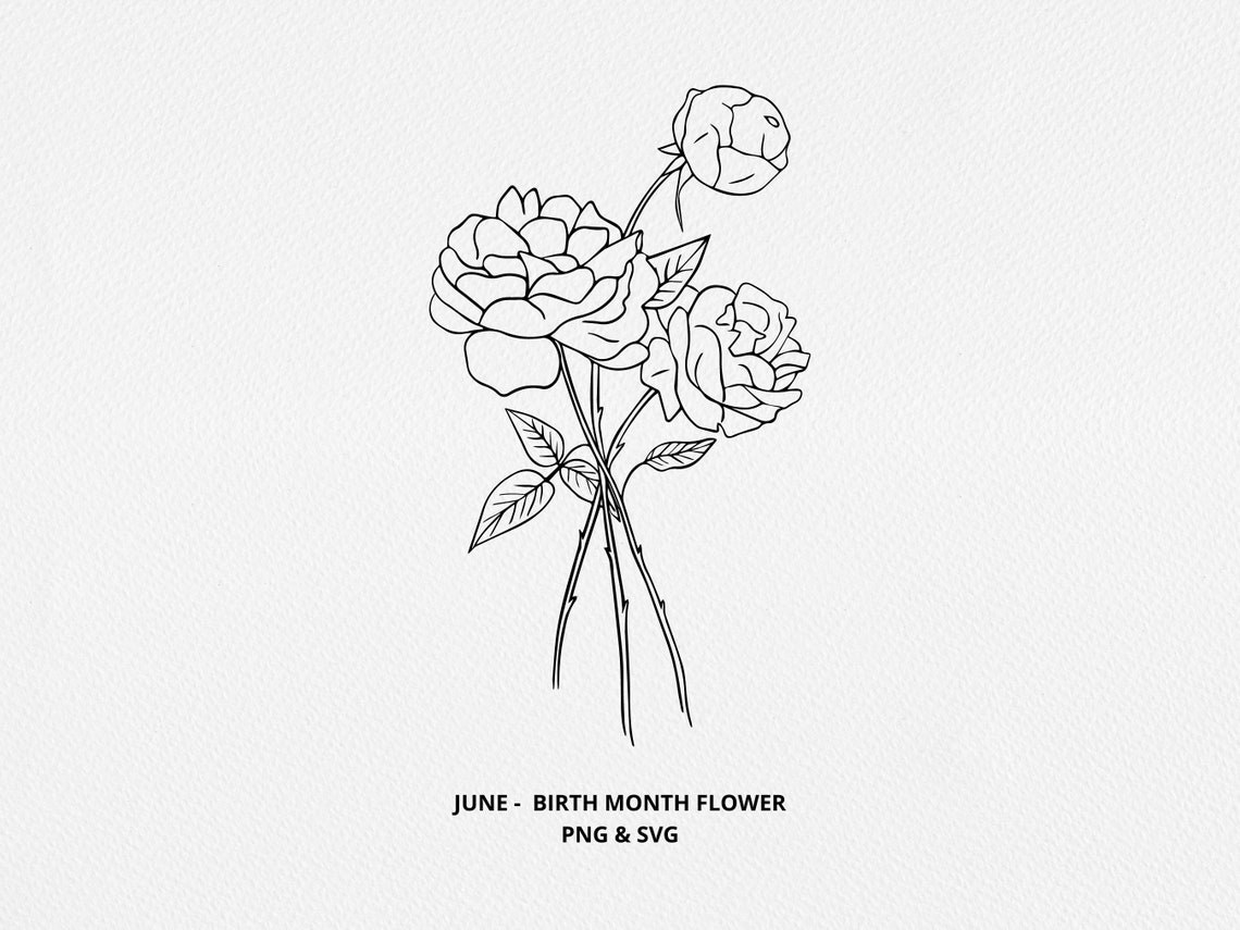 Rose SVG June Birth Month Flower SVG Birthday Flower Hand | Etsy