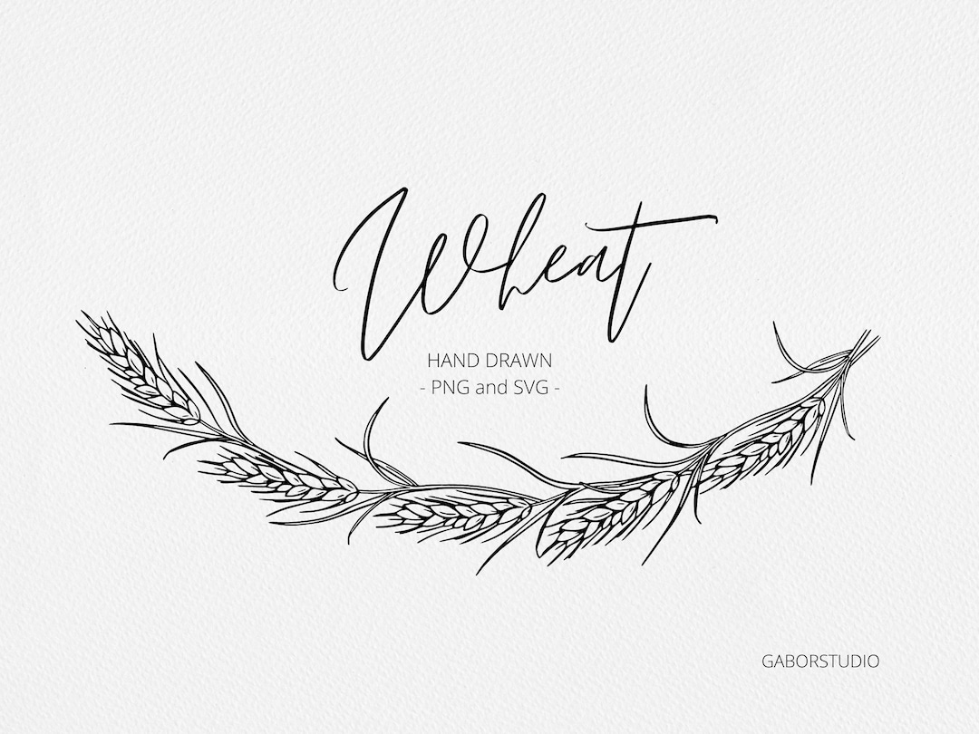 Wheat Frame SVG, Wheat Swag, Wheat Clipart, Wheat Sheaves Outline ...