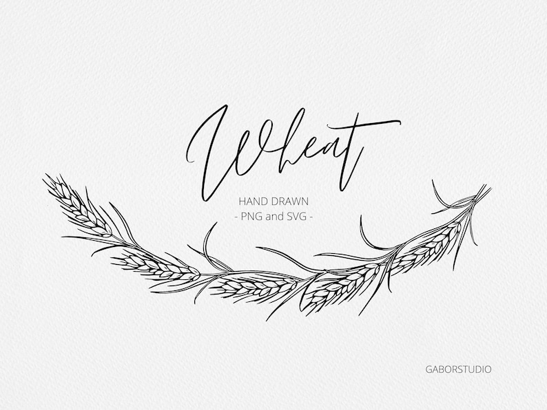 Wheat Frame SVG, Wheat Swag, Wheat Clipart, Wheat Sheaves Outline ...