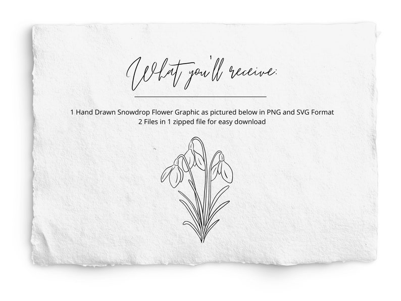 January Snowdrop Birth Month Flower SVG - Birthday Flower PNG, Hand ...