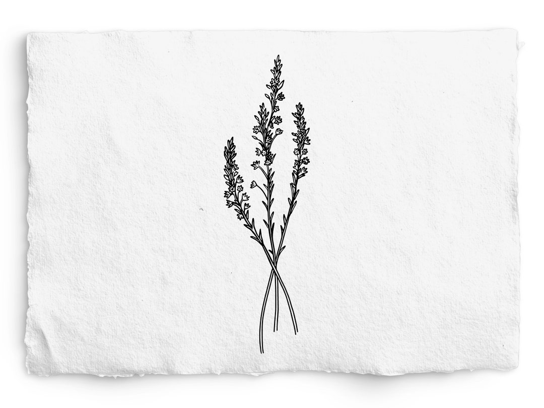 Heather SVG, Heather Flower PNG Digi Stamp, Vintage Botanical Line Art ...