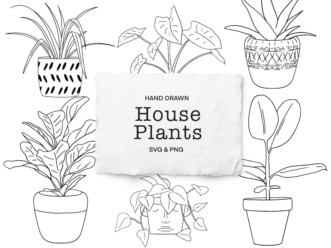 House Plants SVG, Hand Drawn Bohemian, Digi Stamp, PNG, Pothos, Snake ...