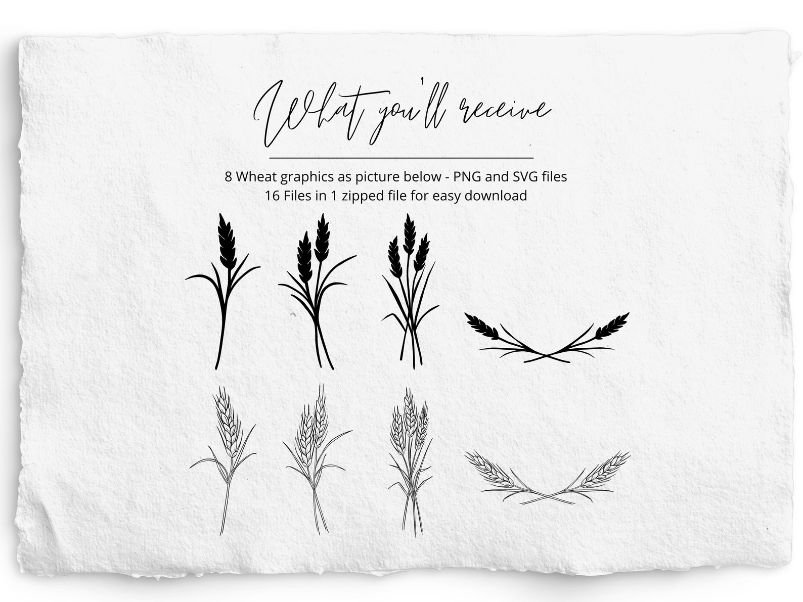 Wheat Bundle SVG, 8 Individual Wheat Elements, Harvest Wheat PNG ...