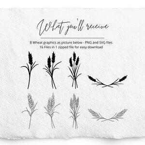 Wheat Bundle SVG, 4 Individual Wheat Elements, Harvest Wheat PNG ...