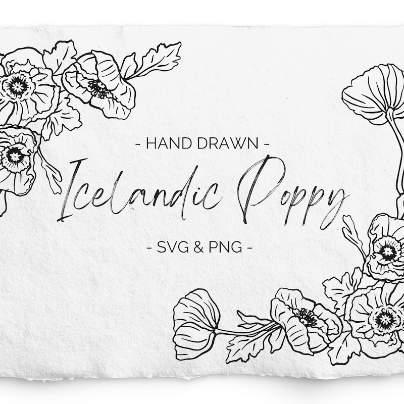 Poppy Line Art - Etsy