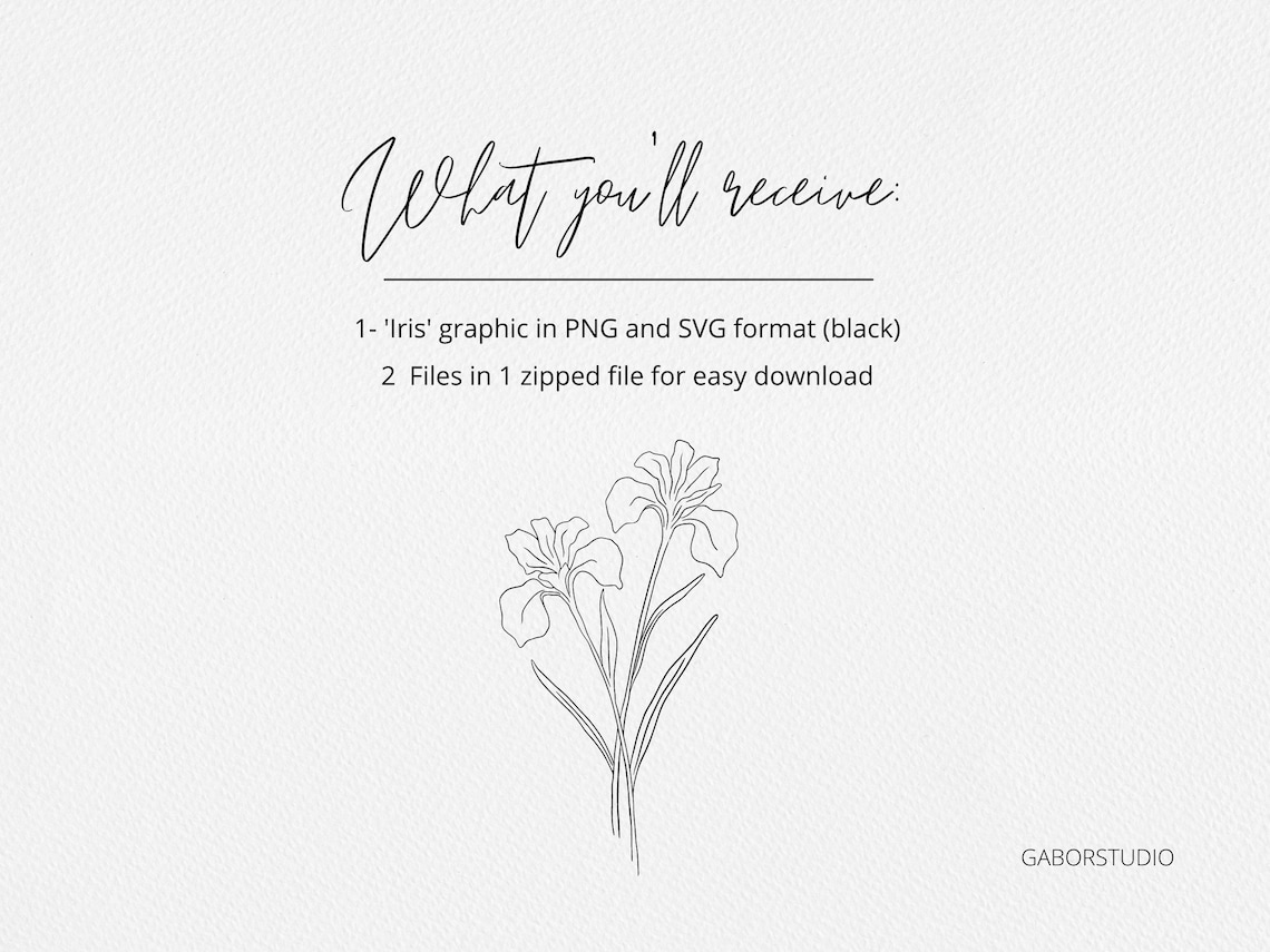 February Birth Month Flower SVG - Birthday Flower PNG, Hand Drawn Iris ...