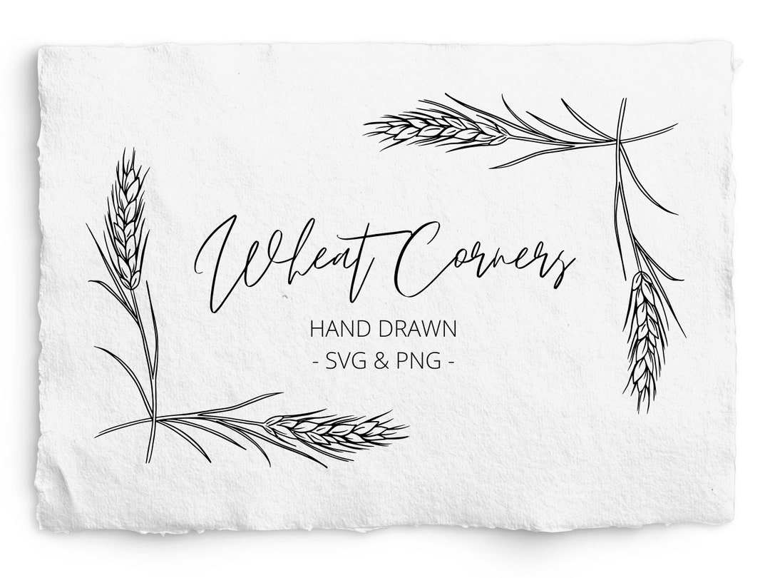 Wheat Corner Frame SVG, Wheat Frame Graphic, Harvest Wheat PNG, Cricut ...