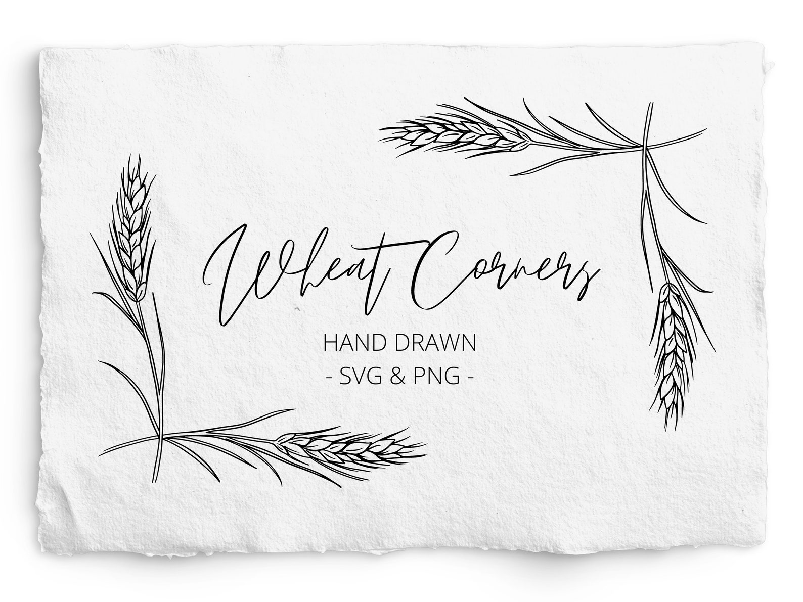 Wheat Corner Frame SVG, Wheat Frame Graphic, Harvest Wheat PNG, Cricut ...