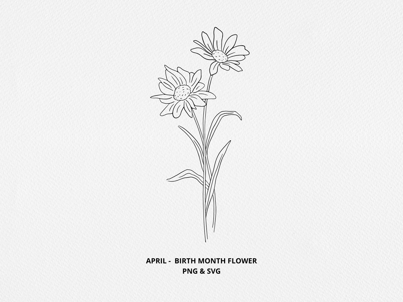 April Birth Month Flower SVG Birthday Flower PNG Hand Drawn - Etsy
