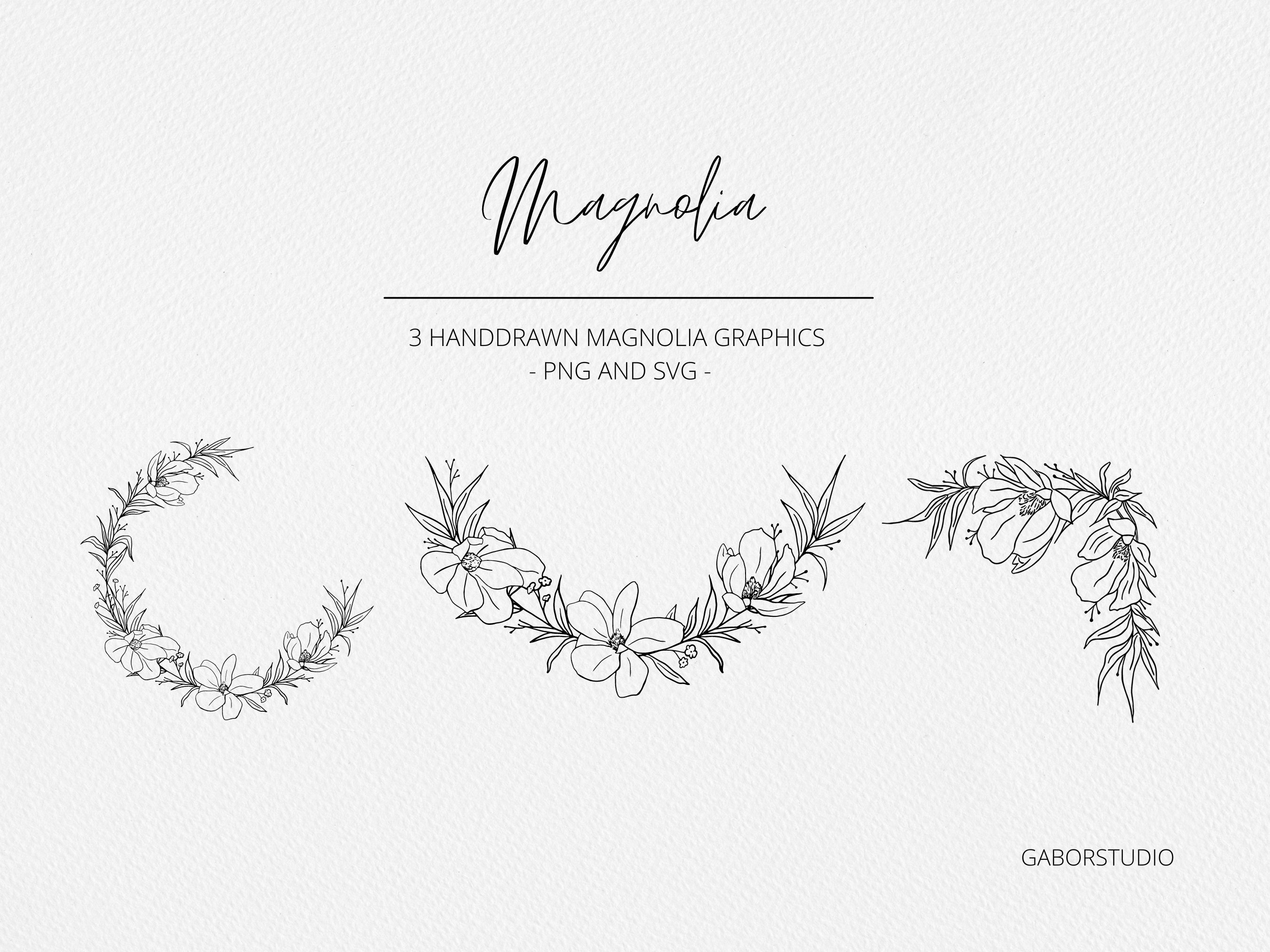 Magnolia Botanical SVG and PNG Bundle Hand Drawn Magnolia - Etsy