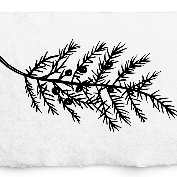 Juniper Svg - Etsy