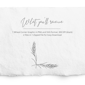 Wheat Corner Frame SVG, Wheat Frame Graphic, Harvest Wheat PNG, Cricut ...